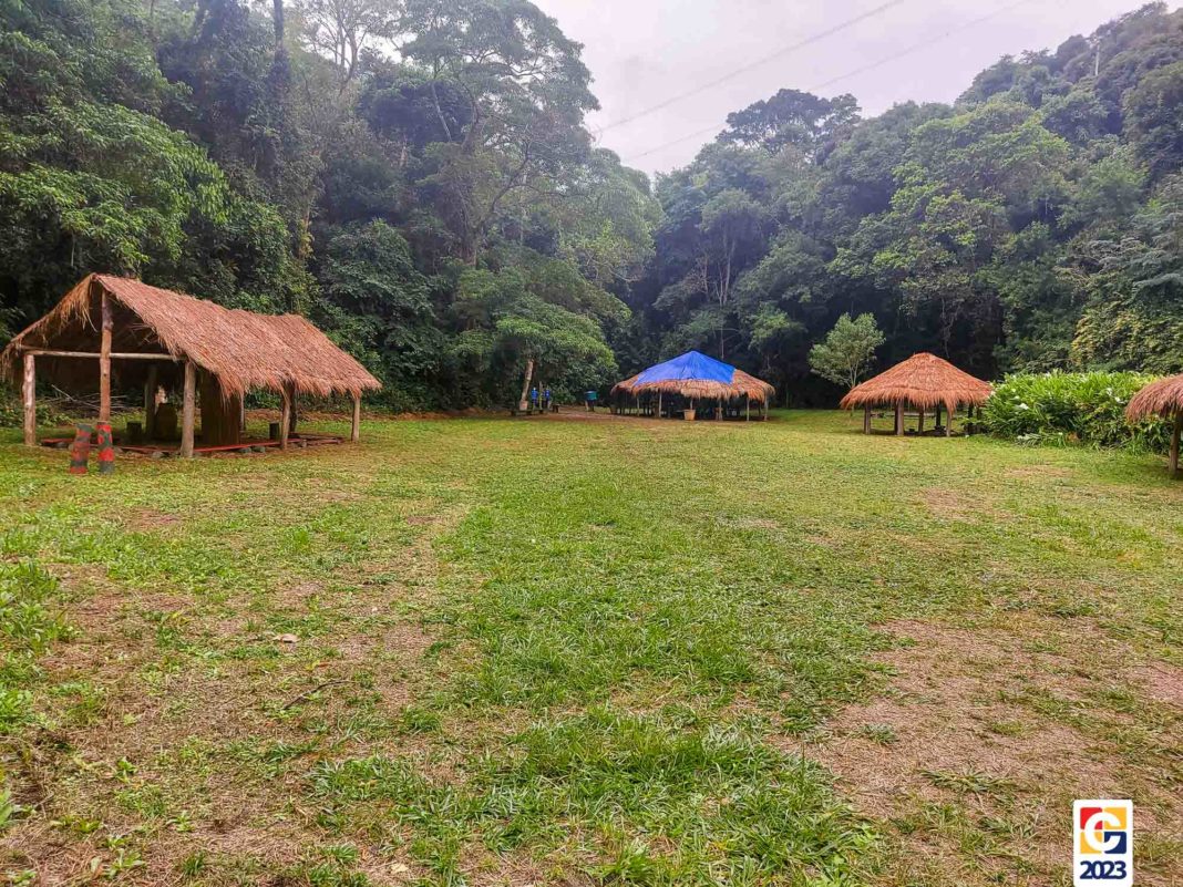 ☀️ Dia dos Povos Indígenas: curta fotos da visita à aldeia do Sítio do ...